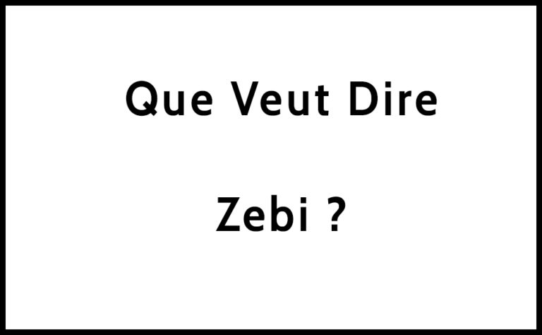 Que veut dire Zebi ? Définition et origine
